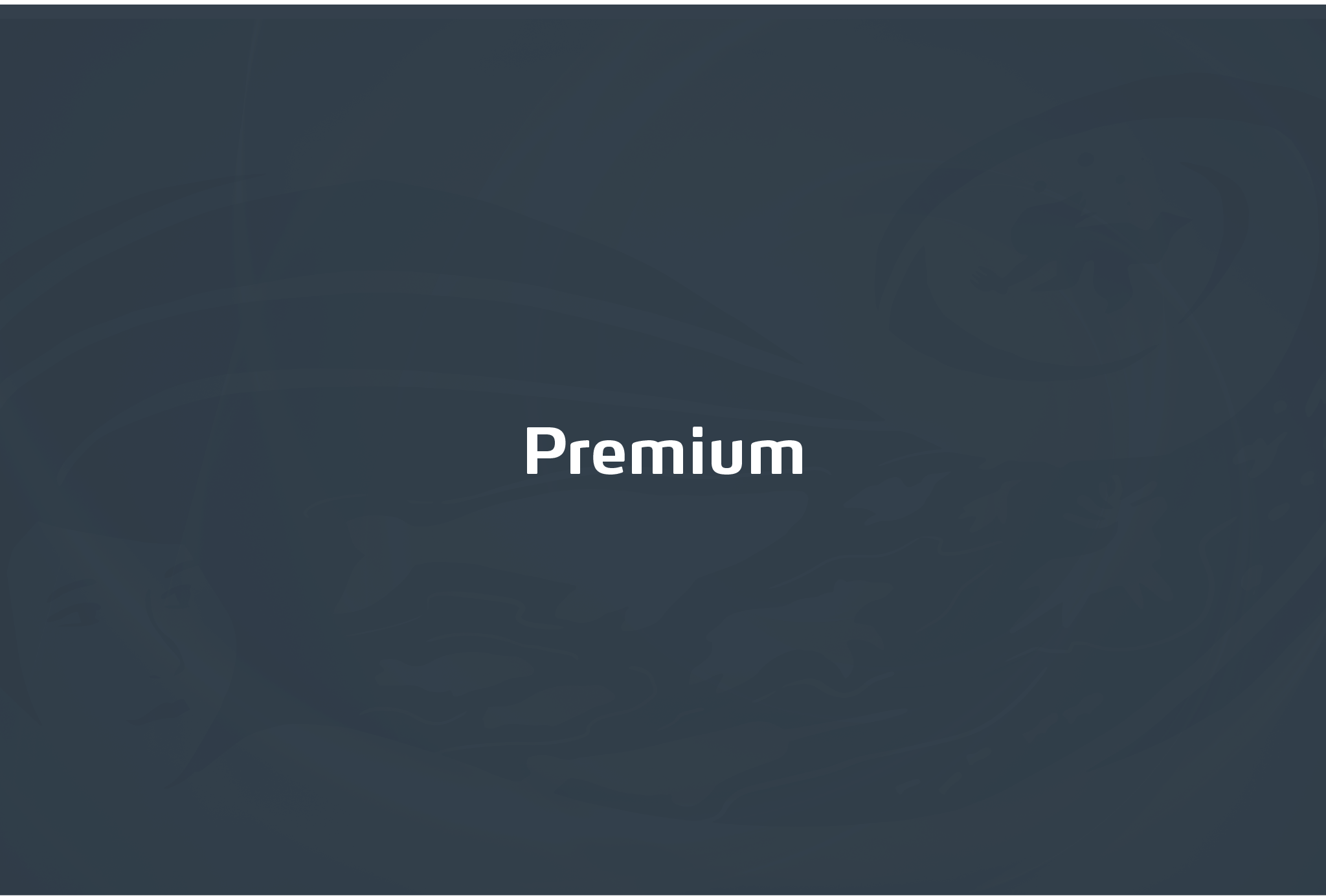 Air Greenland New Tickets - Design - Air Greenland Group