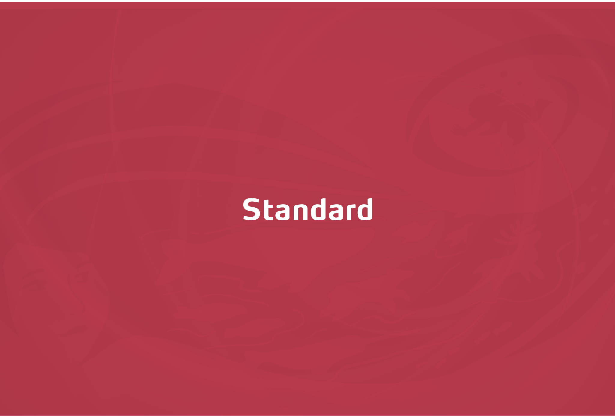 Air Greenland New Tickets - Design - Air Greenland Group